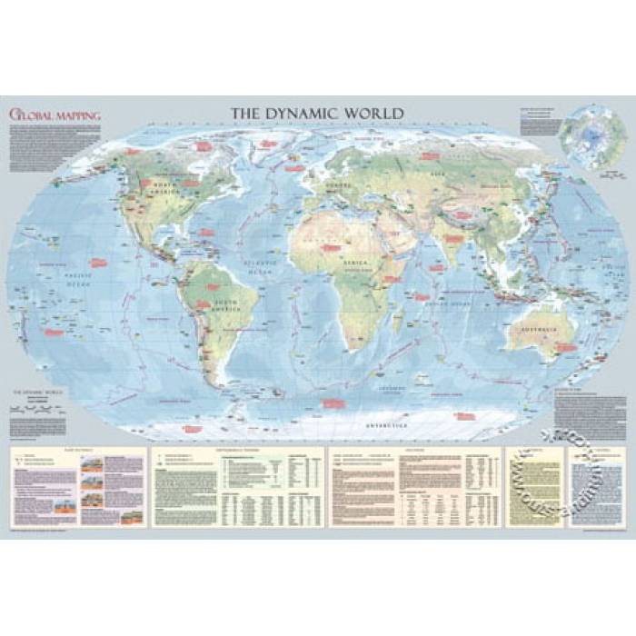 Dynamic World Map Medium